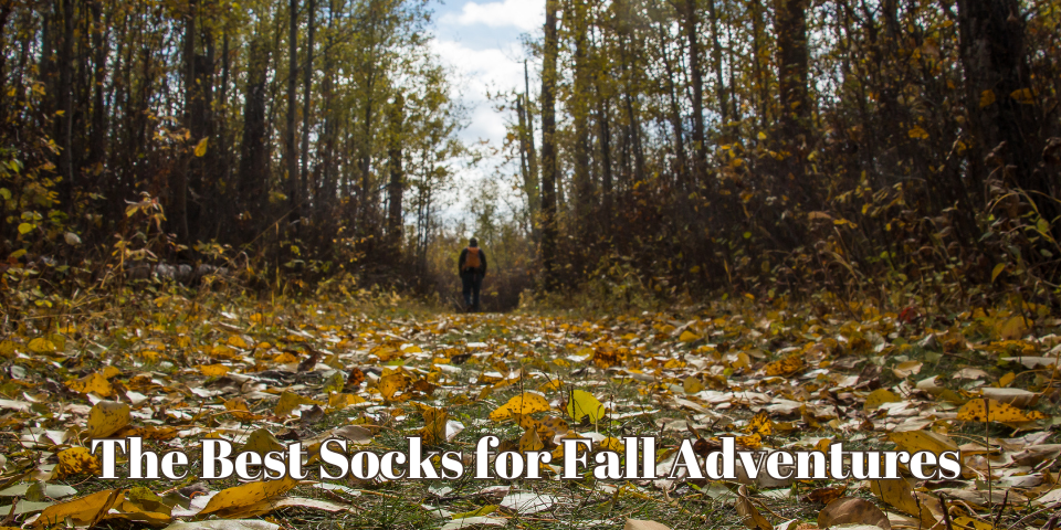 The Best Socks for Fall Adventures – Great Sox